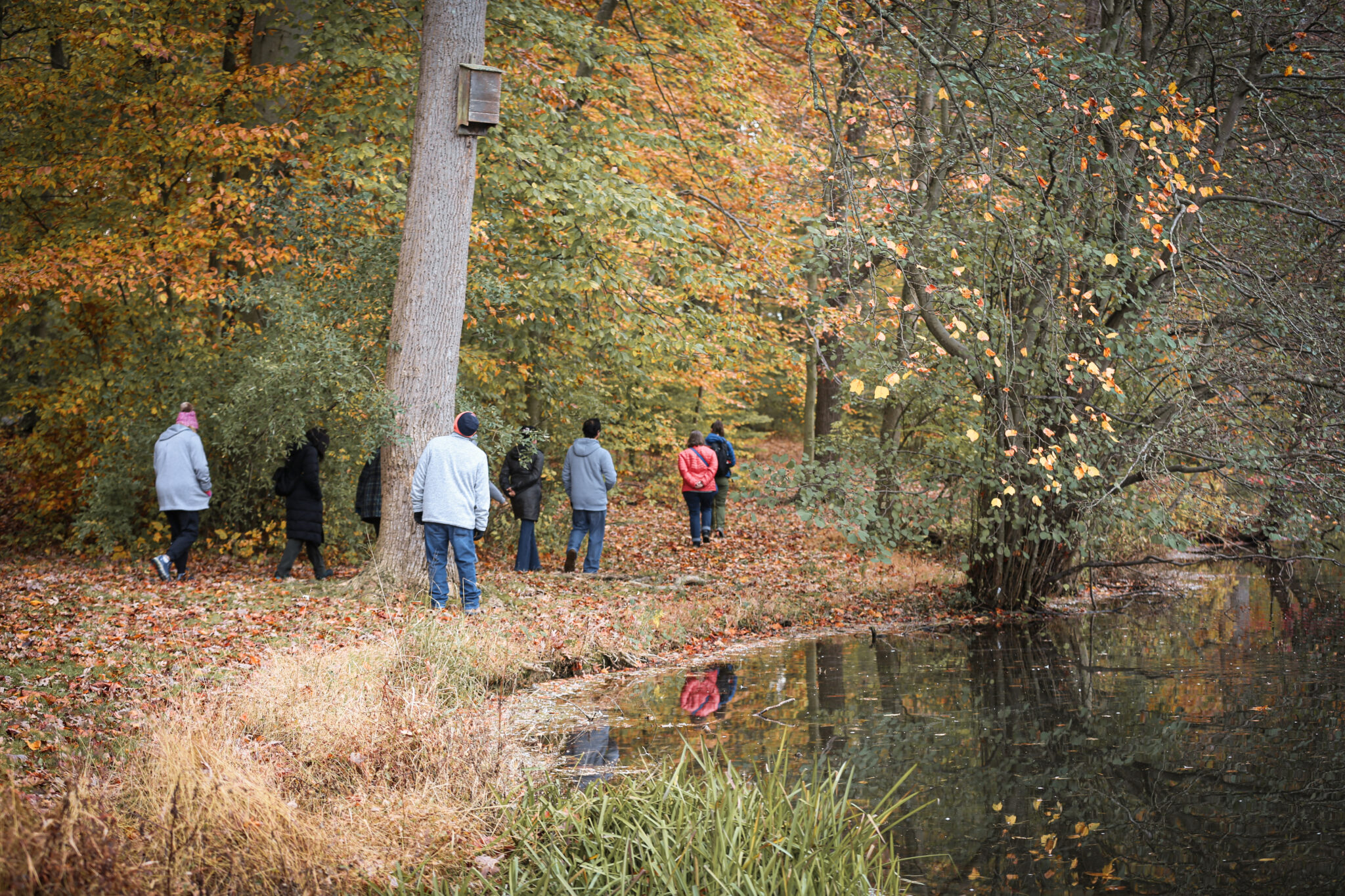 Campus Nature Walk | Westtown School